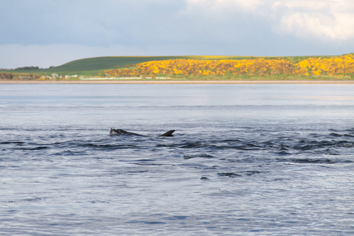 11 Tips for the NC500 by Away from the Ordinary - Away from the Ordinary