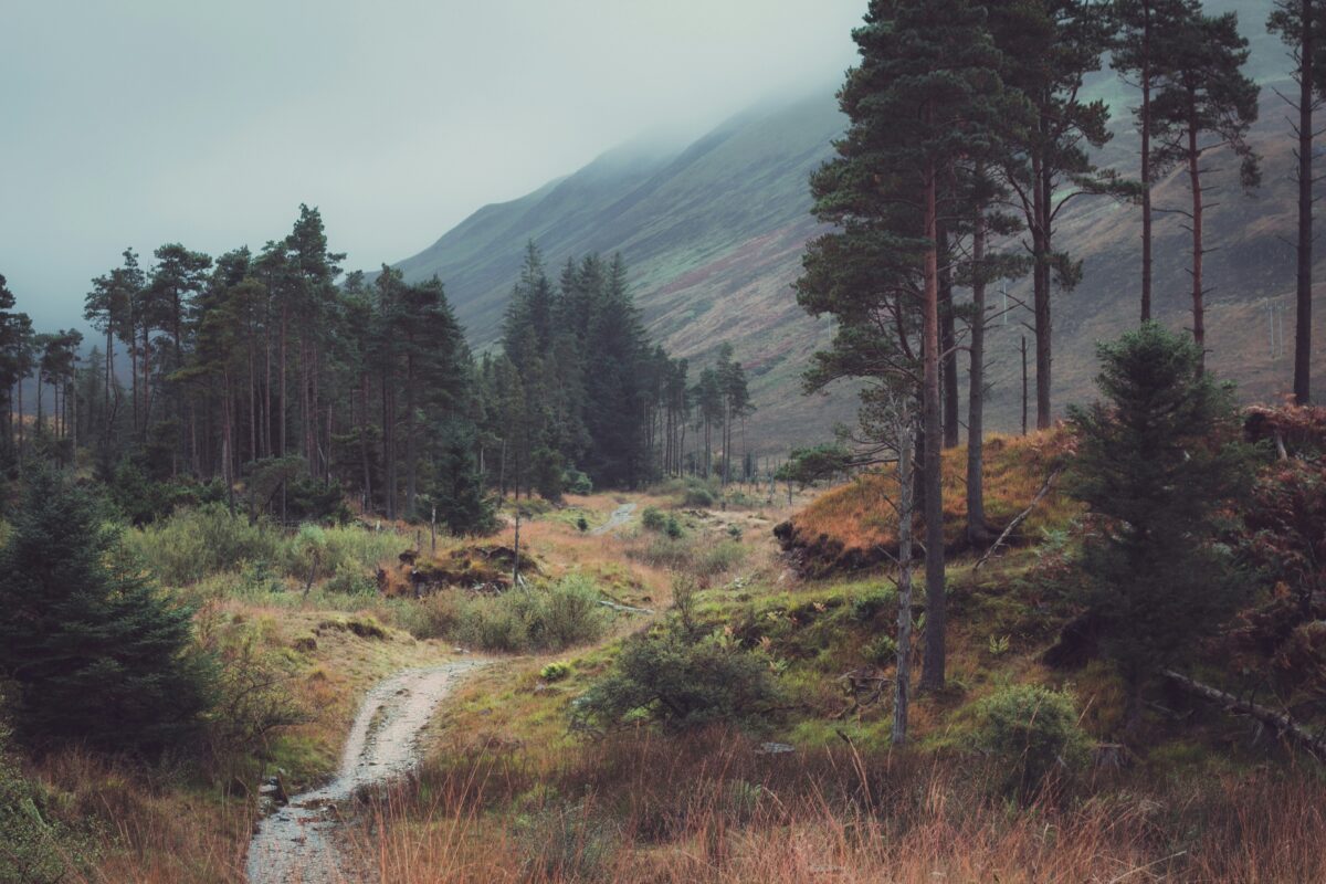 The Right to Roam - Away from the Ordinary